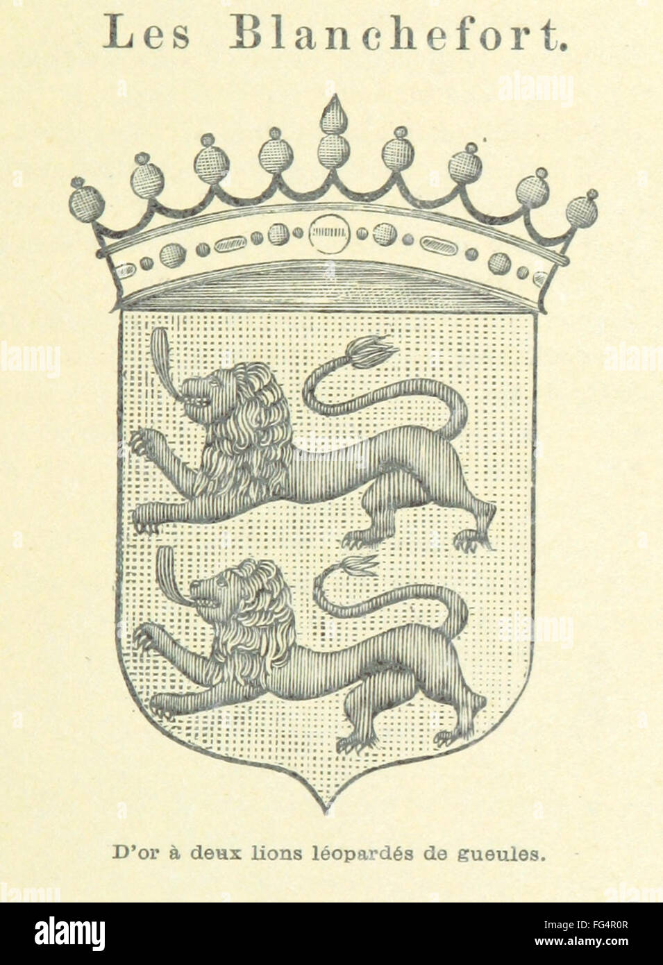 This French-language book focuses on the history, archaeology, and ...