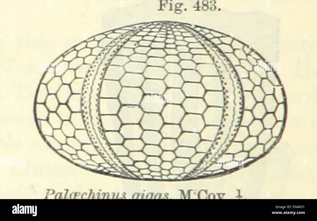 A vintage manual on elementary geology, edited by J. W. Judd. This ...