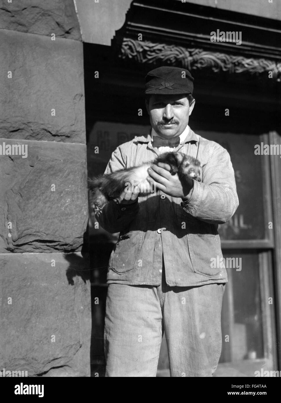 NEW YORK: RAT CATCHER, c1908. /nA rat catcher holding a ferret, used to ...