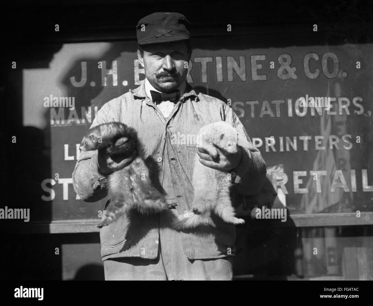 NEW YORK: RAT CATCHER, c1908. /nA rat catcher holding ferrets, used to ...
