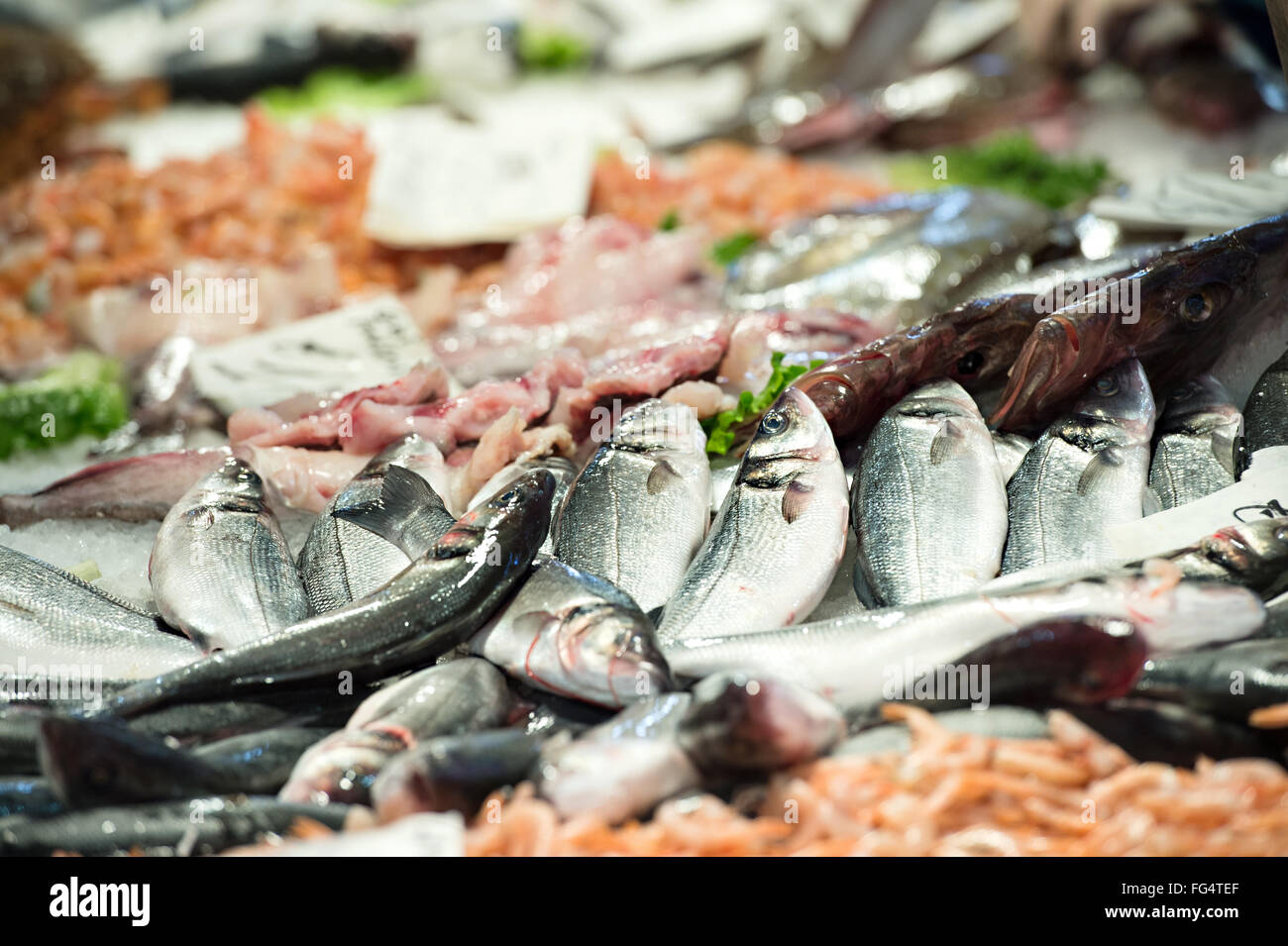 Volpini hi-res stock photography and images - Alamy