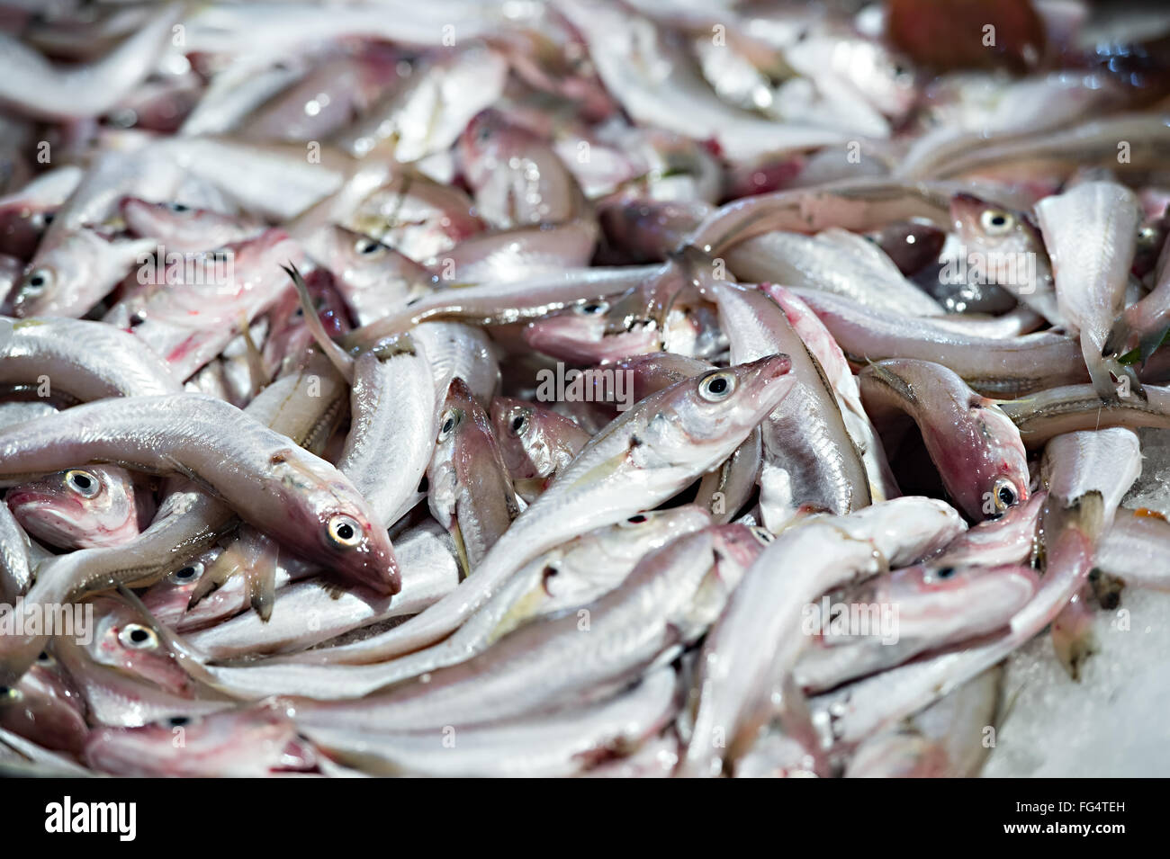 Fisherman sell seafood at the fish market Stock Photo - Alamy