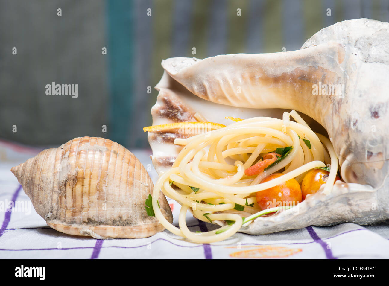 Clam shell large hi-res stock photography and images - Alamy