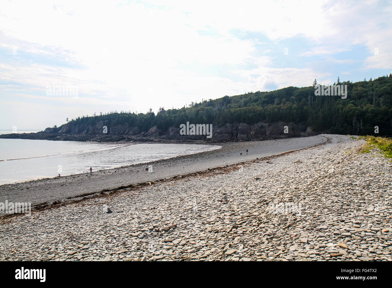 Little Ridge Beach at low tide in Fundy National Park Stock Photo - Alamy