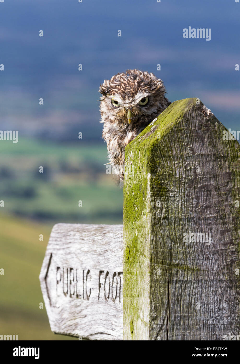 Angry landowner hi-res stock photography and images - Alamy