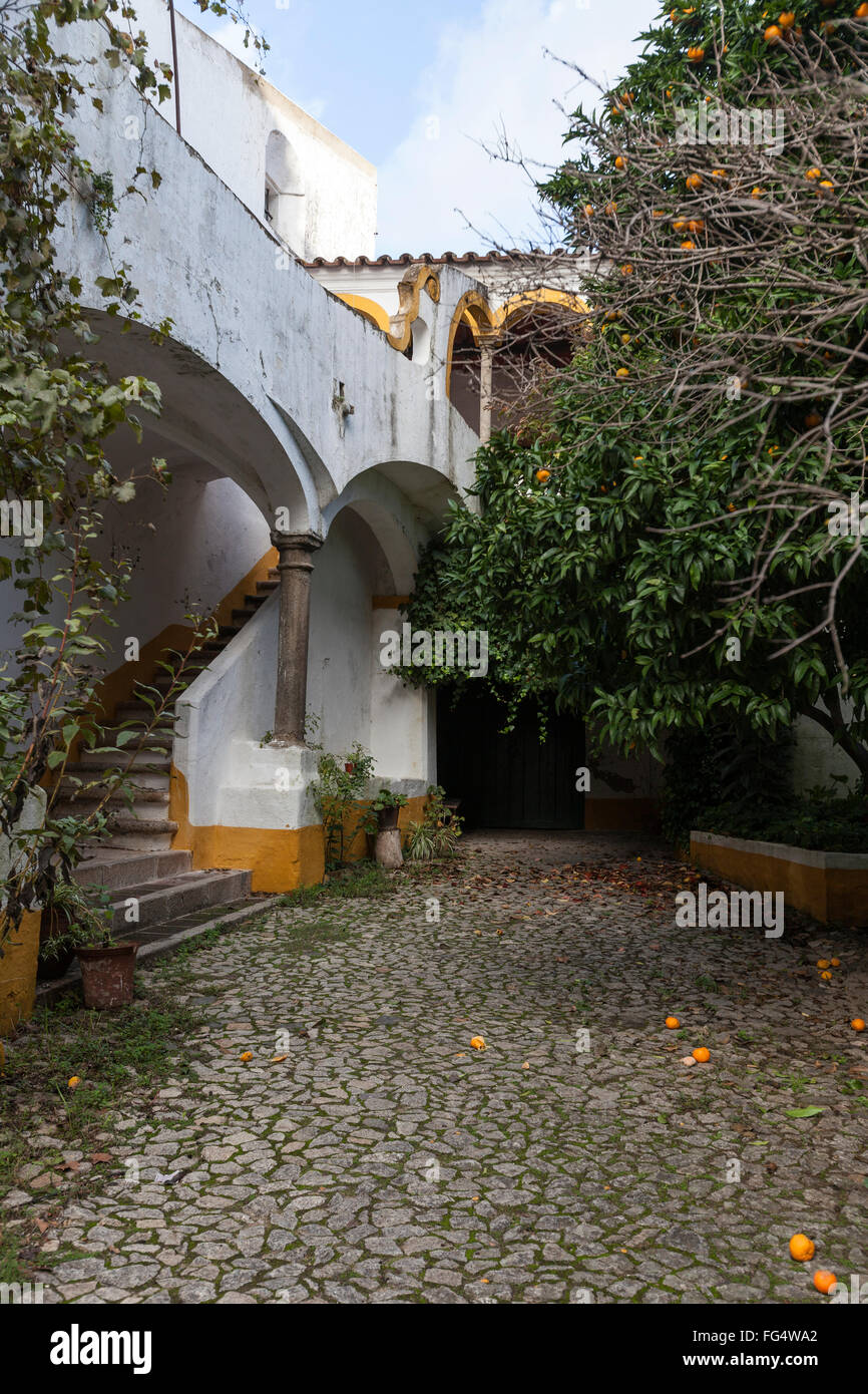 évora portugal tree hi-res stock photography and images - Alamy