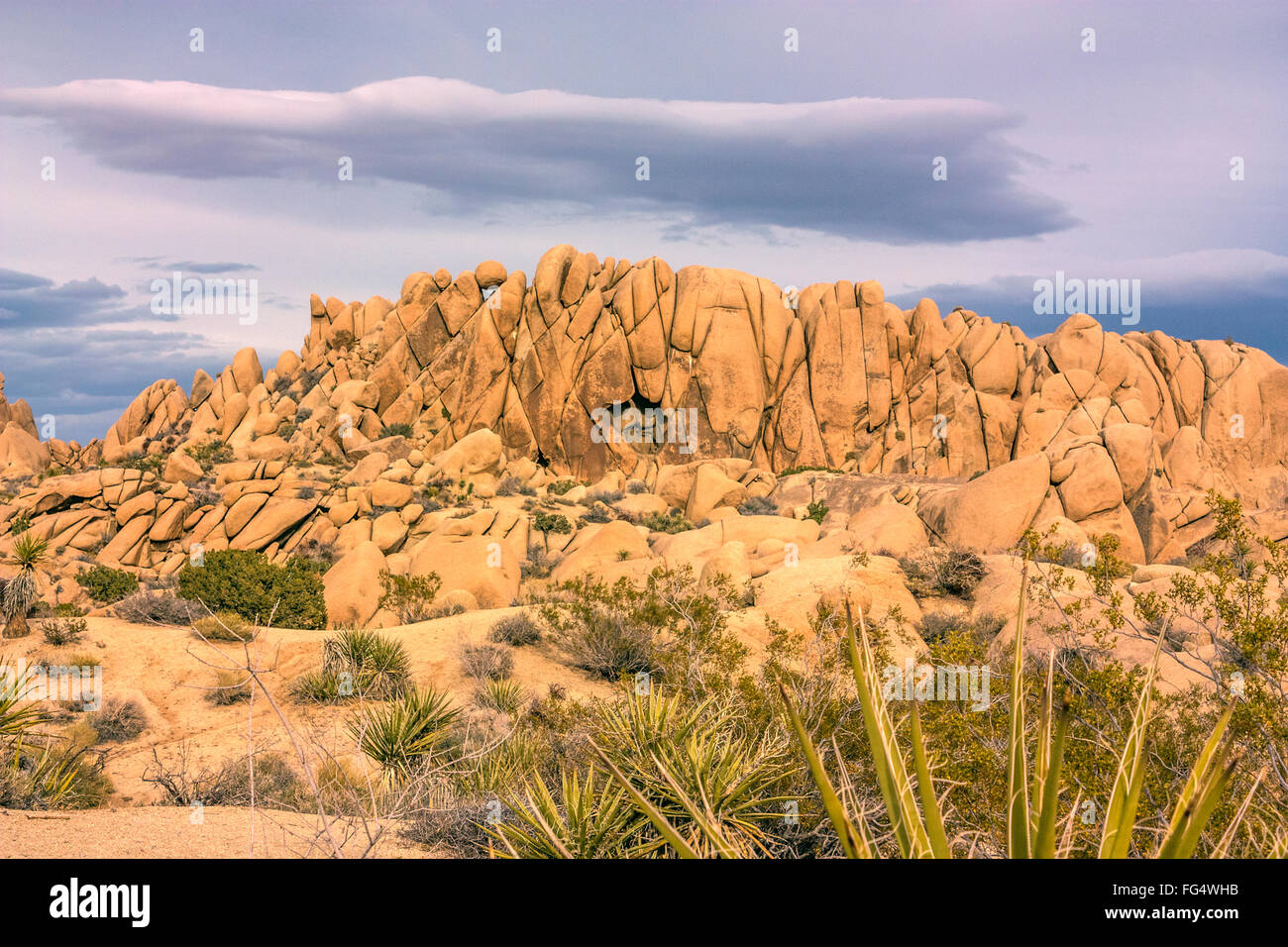 Rock formations at Joshua Tree National Park Stock Photo - Alamy
