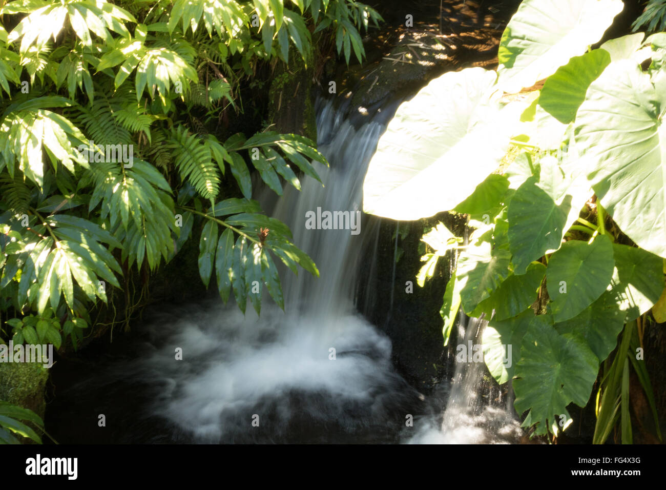 Stream, waterfall, sunny, Hawaii Stock Photo - Alamy