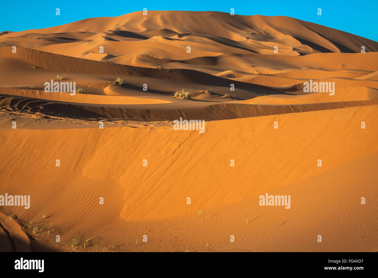 The seas of dunes of Erg Chebbi near Merzouga in southeastern Morocco ...