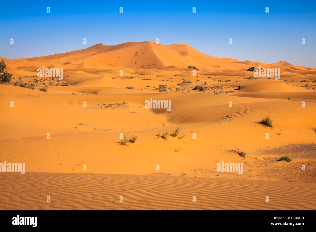 The seas of dunes of Erg Chebbi near Merzouga in southeastern Morocco ...
