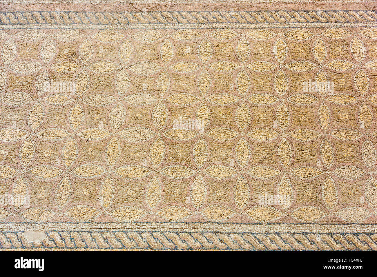 Roman floor mosaic hi-res stock photography and images - Alamy