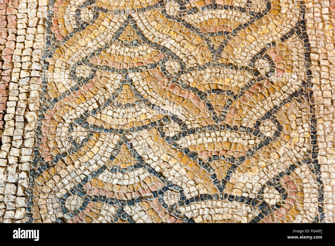 Floor mosaic in the Roman Mosaic Museum, also known as the Roman ...