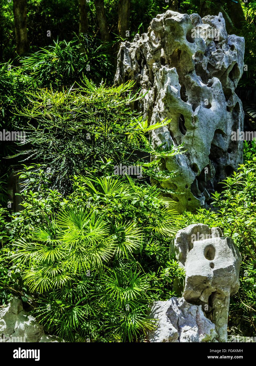 Plants growing in rocks hi-res stock photography and images - Alamy