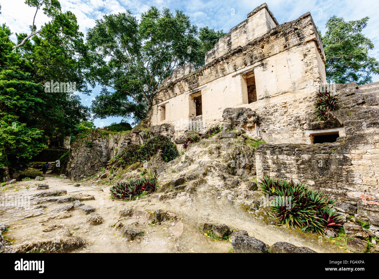 Central Acropolis, Tikal, Guatemala Stock Photo - Alamy