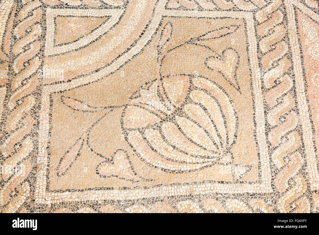Floor mosaic in the Roman Mosaic Museum, also known as the Roman ...