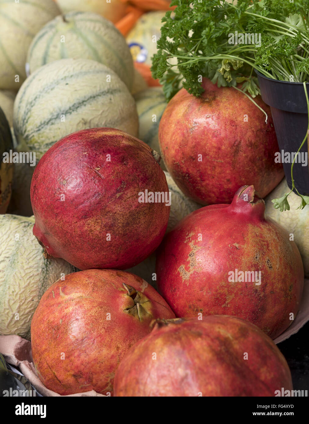 Rockmelon hi-res stock photography and images - Alamy