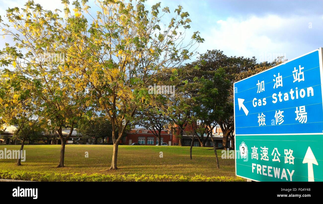 Road Sign Against Trees Stock Photo - Alamy