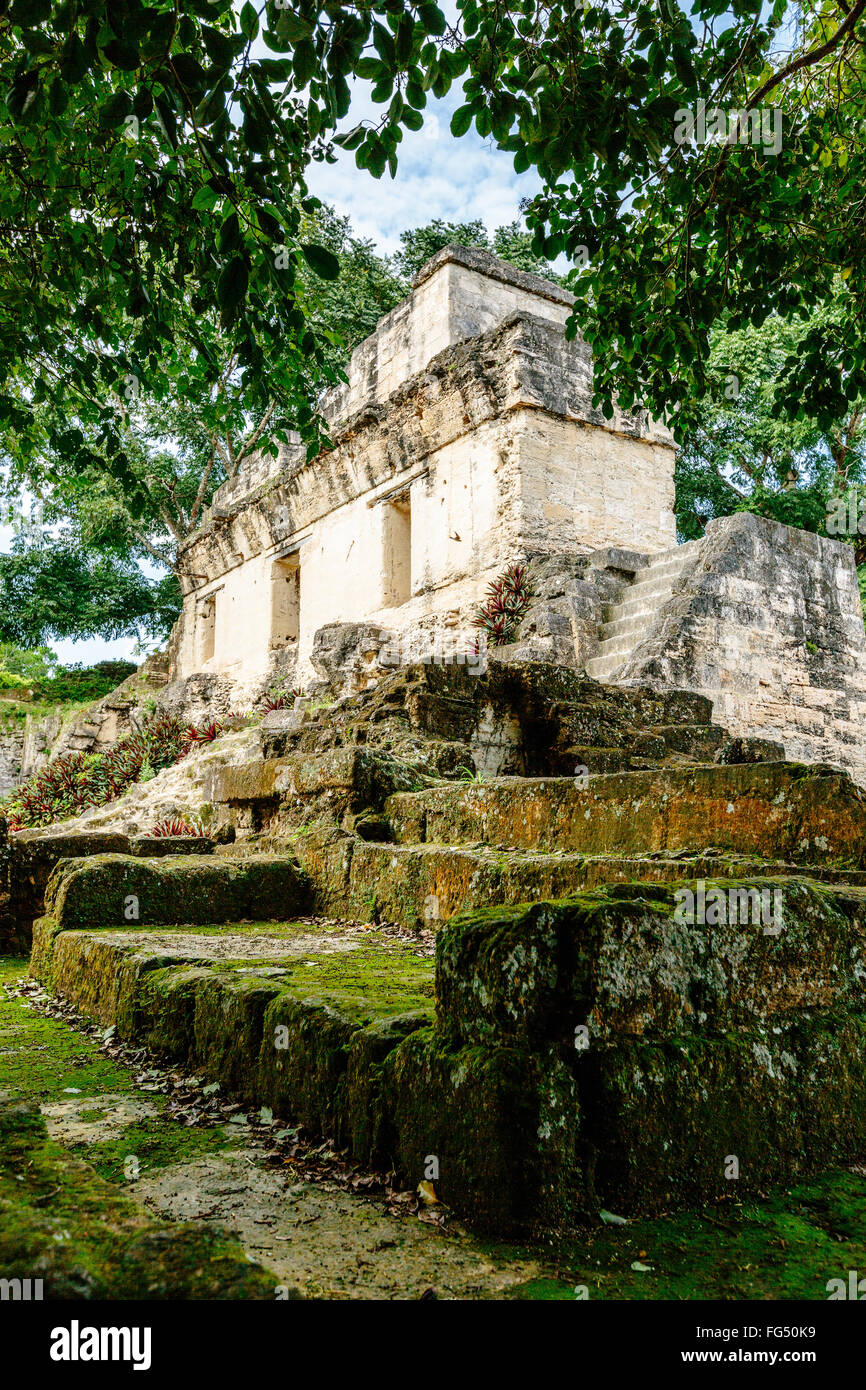 Central Acropolis, Tikal, Guatemala Stock Photo - Alamy