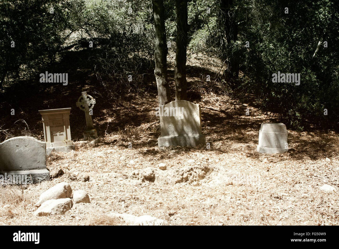 Digging up the Marrow is a 2014 horror film written and directed by ...