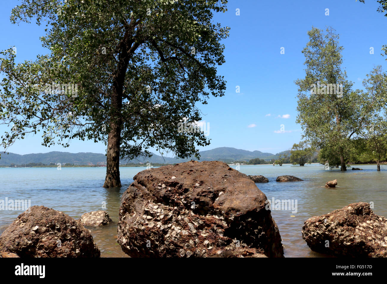 Thailand Phuket Khao Khad The start of the mangroves of Chalong Bay ...