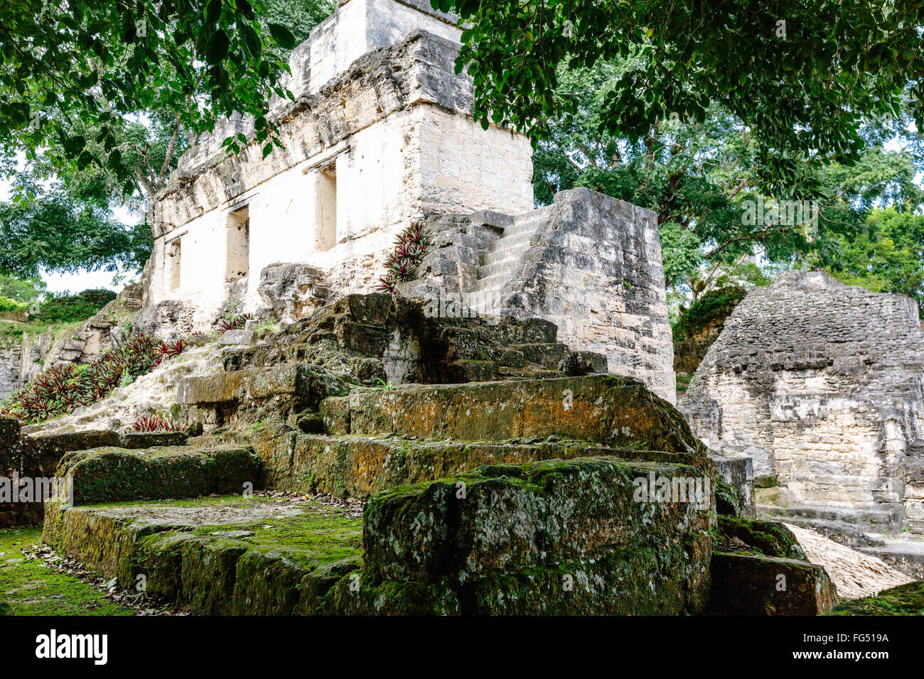 Central Acropolis, Tikal, Guatemala Stock Photo - Alamy
