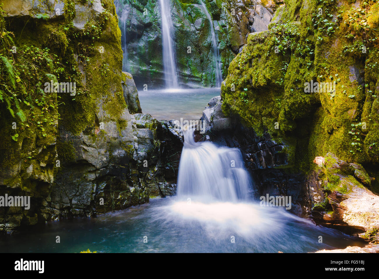 Susan Creek Falls in the Umpqua National Forest. This waterfall is ...
