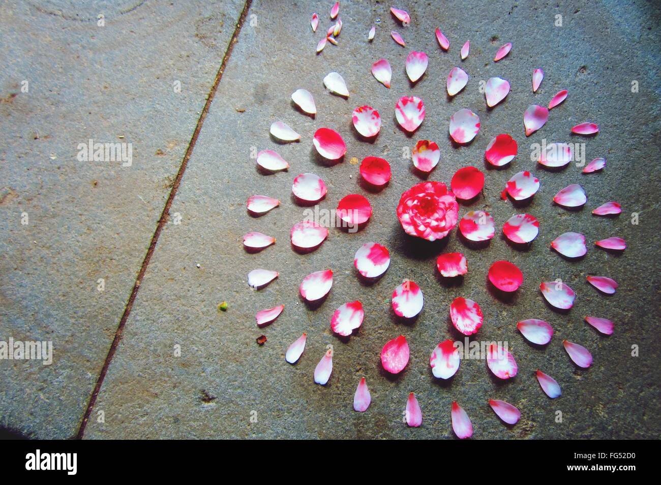 Arrangement of petals hi-res stock photography and images - Alamy