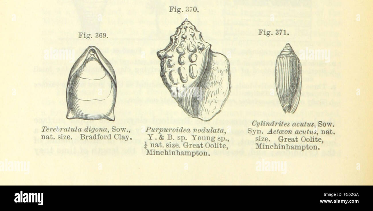 'The Student's Lyell' is an educational manual on elementary geology ...