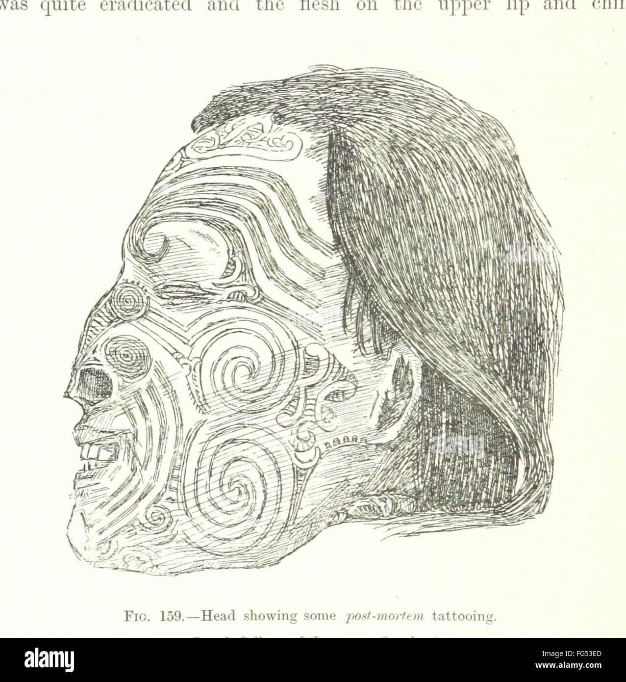 'Moko' explores the art and cultural significance of Maori tattooing in ...