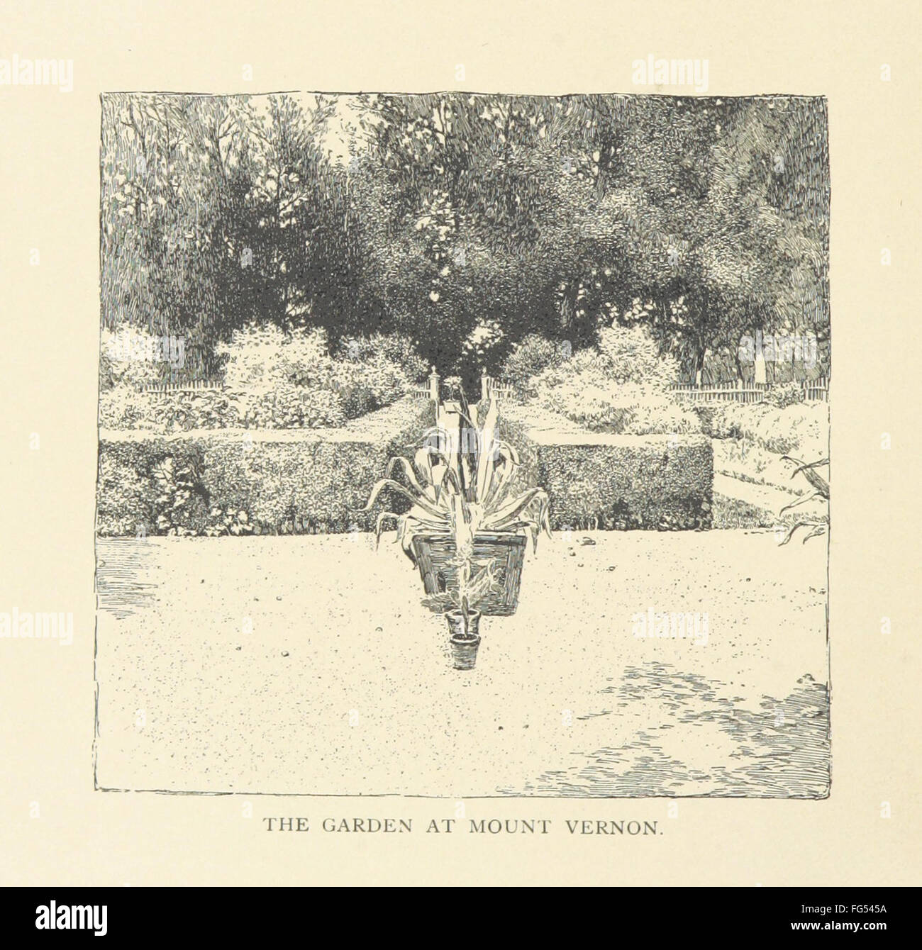'The Century Book of Famous Americans' narrates the journey of young ...