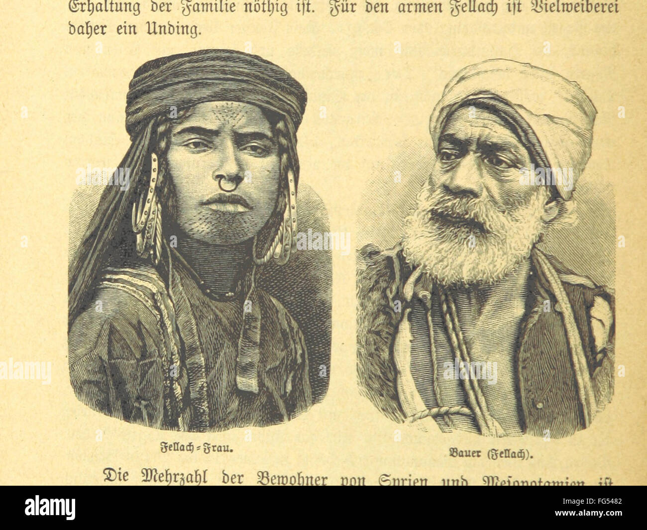 A study of humanity and its races, exploring human diversity through ...