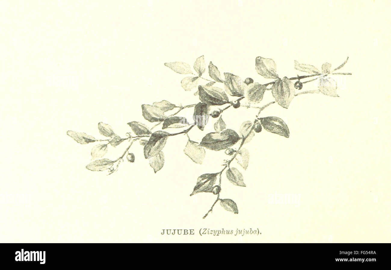 This book provides a comprehensive history of African exploration ...