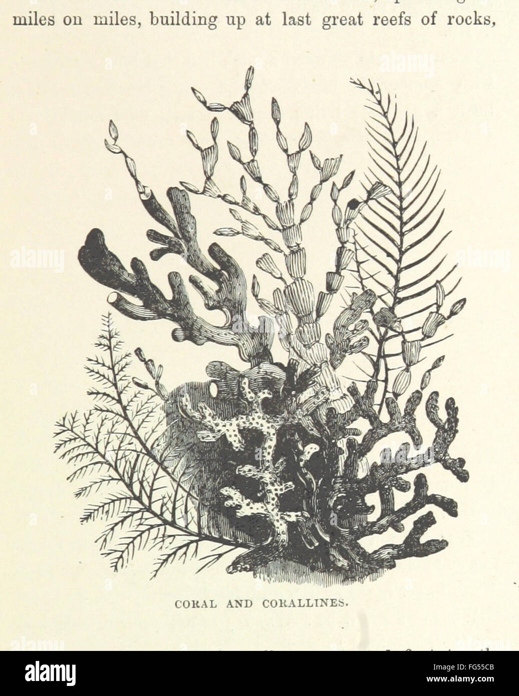 This vintage book series provides young readers with concise and ...