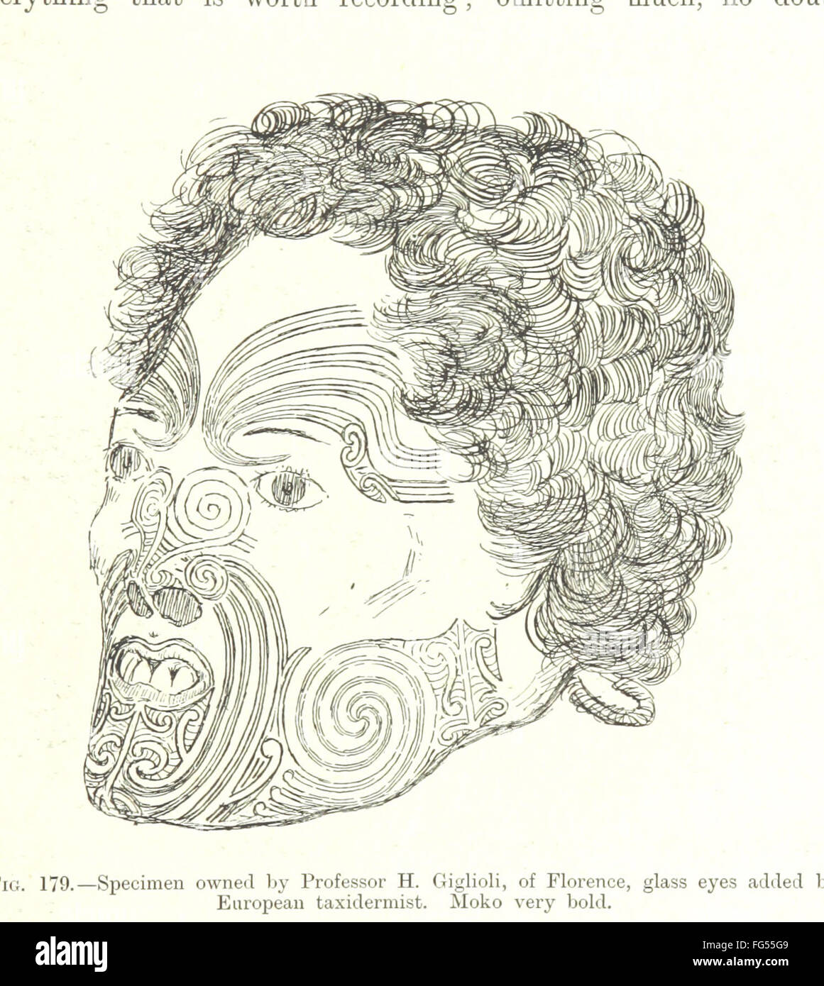 'Moko; or, Maori Tattooing' explores the ancient art of Maori tattooing ...