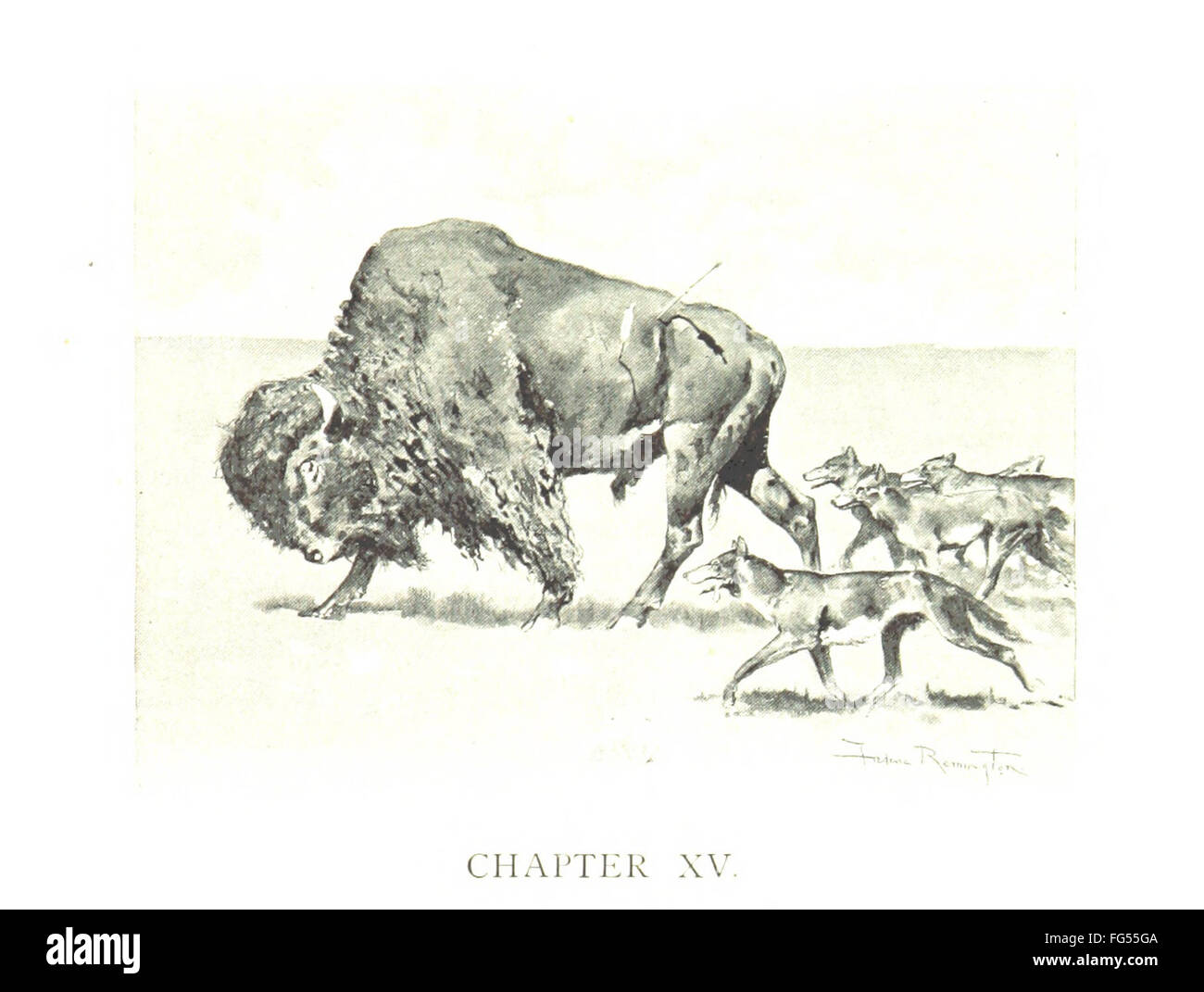 This vintage book details the Oregon Trail, chronicling the arduous ...
