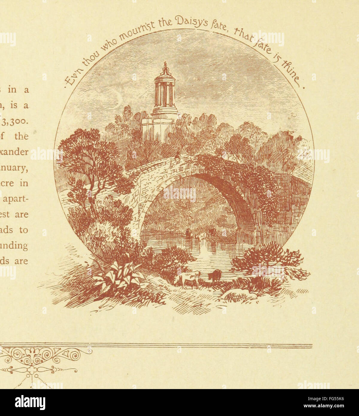 A collection of selected poems by Robert Burns, featuring notable works ...