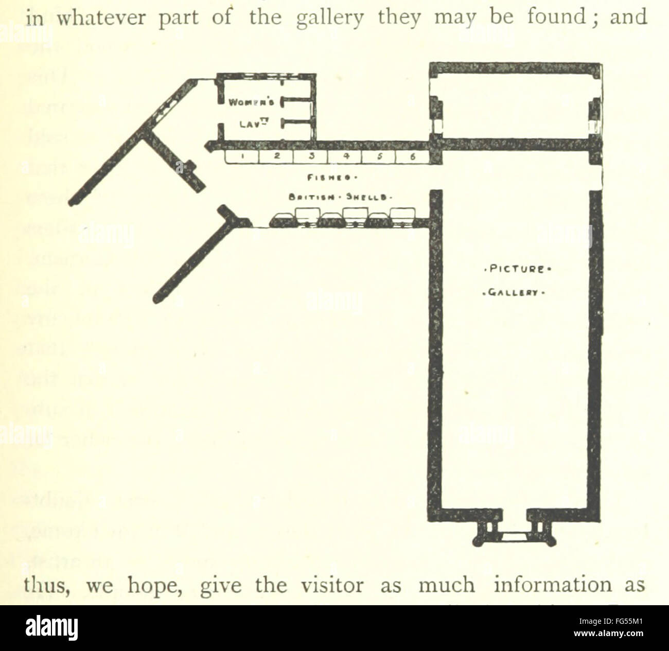 'The Official Guide to the Norwich Castle Museum' provides a detailed ...