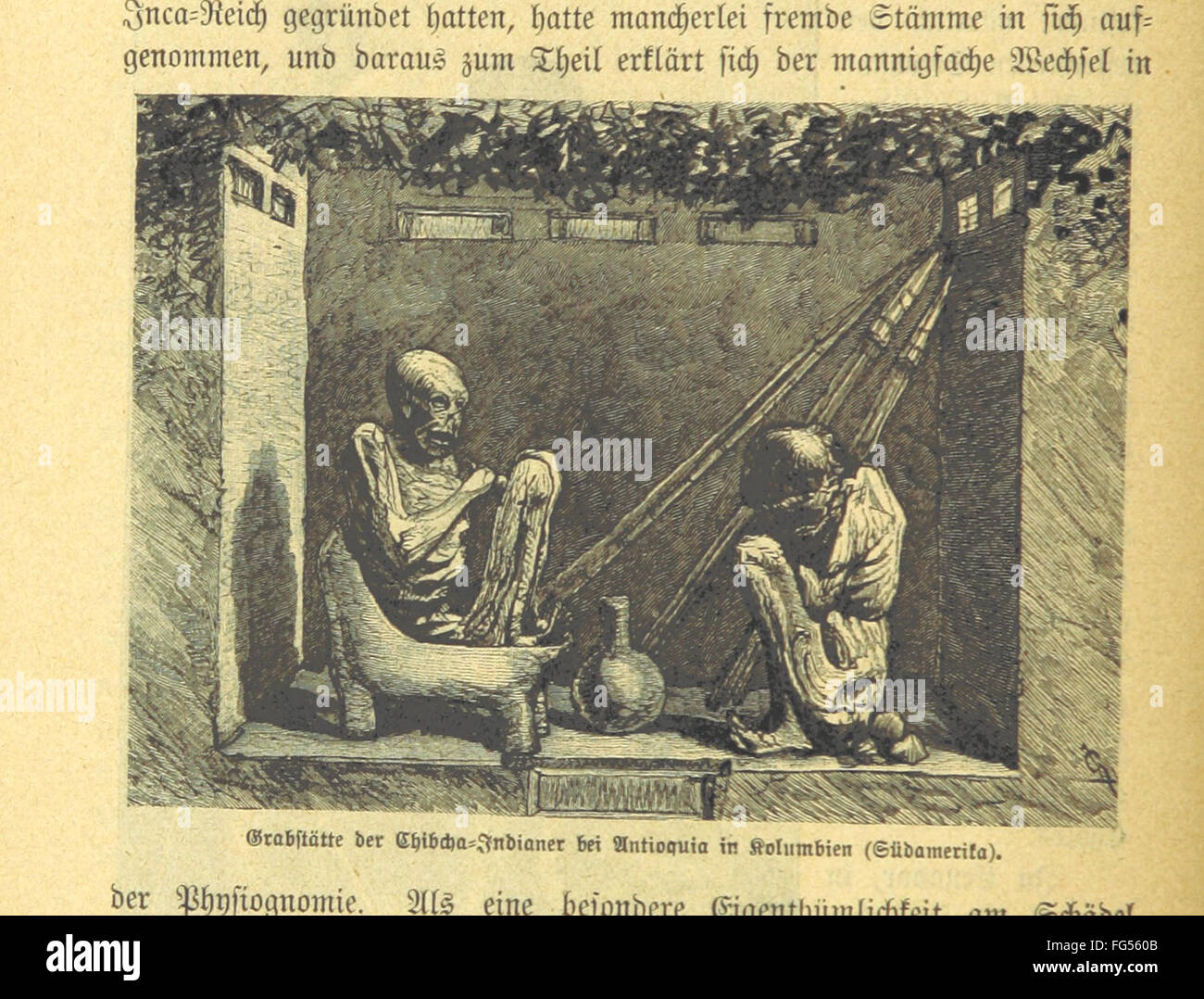 This book examines human races and their characteristics, illustrated ...