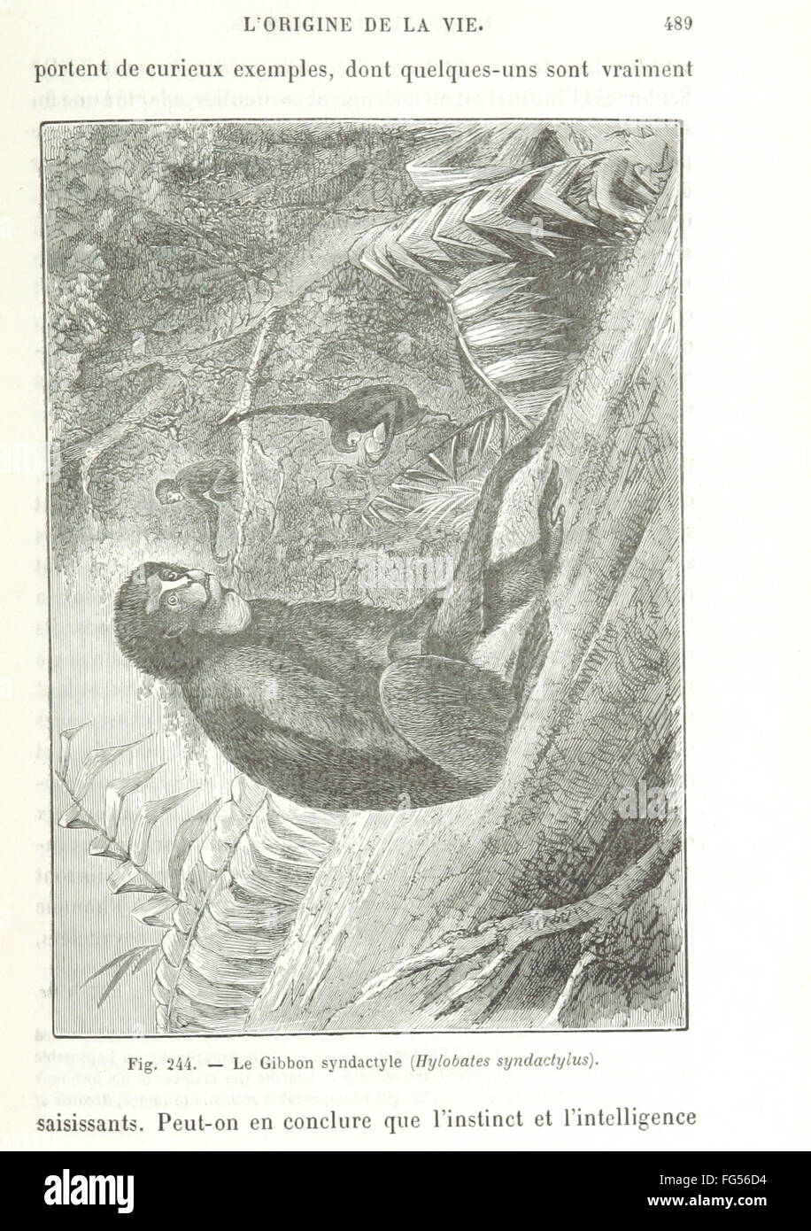 This vintage book examines the early humans and prehistoric times, with ...