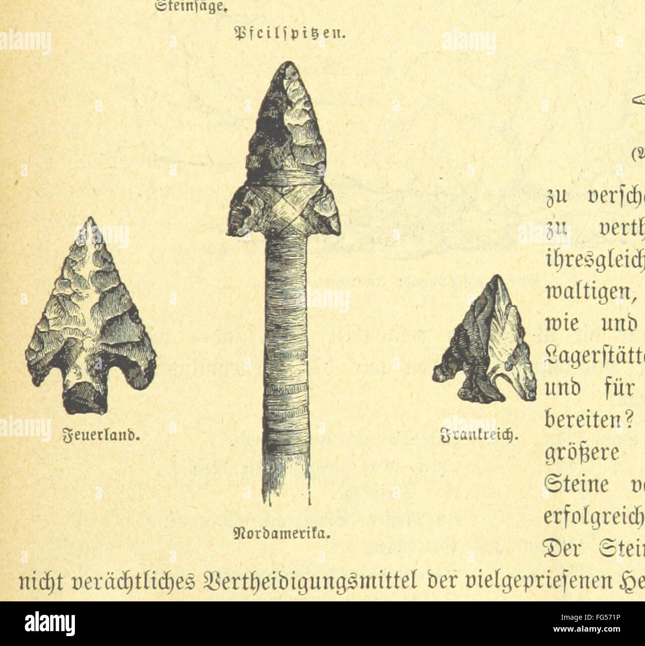 This book explores human diversity and the different races of mankind ...