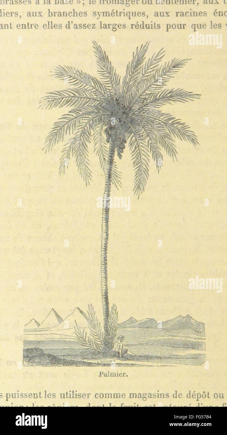 The second edition of this book explores the regions of Senegal and ...