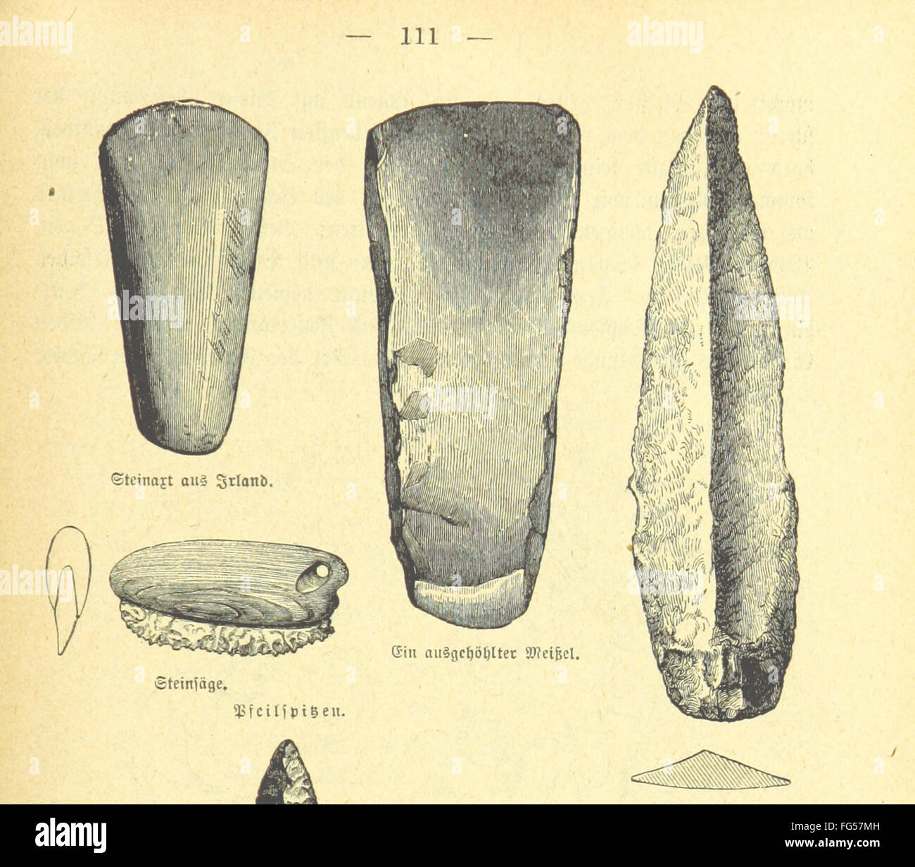 'Der Mensch und seine Rassen' (Man and His Races) explores human racial ...