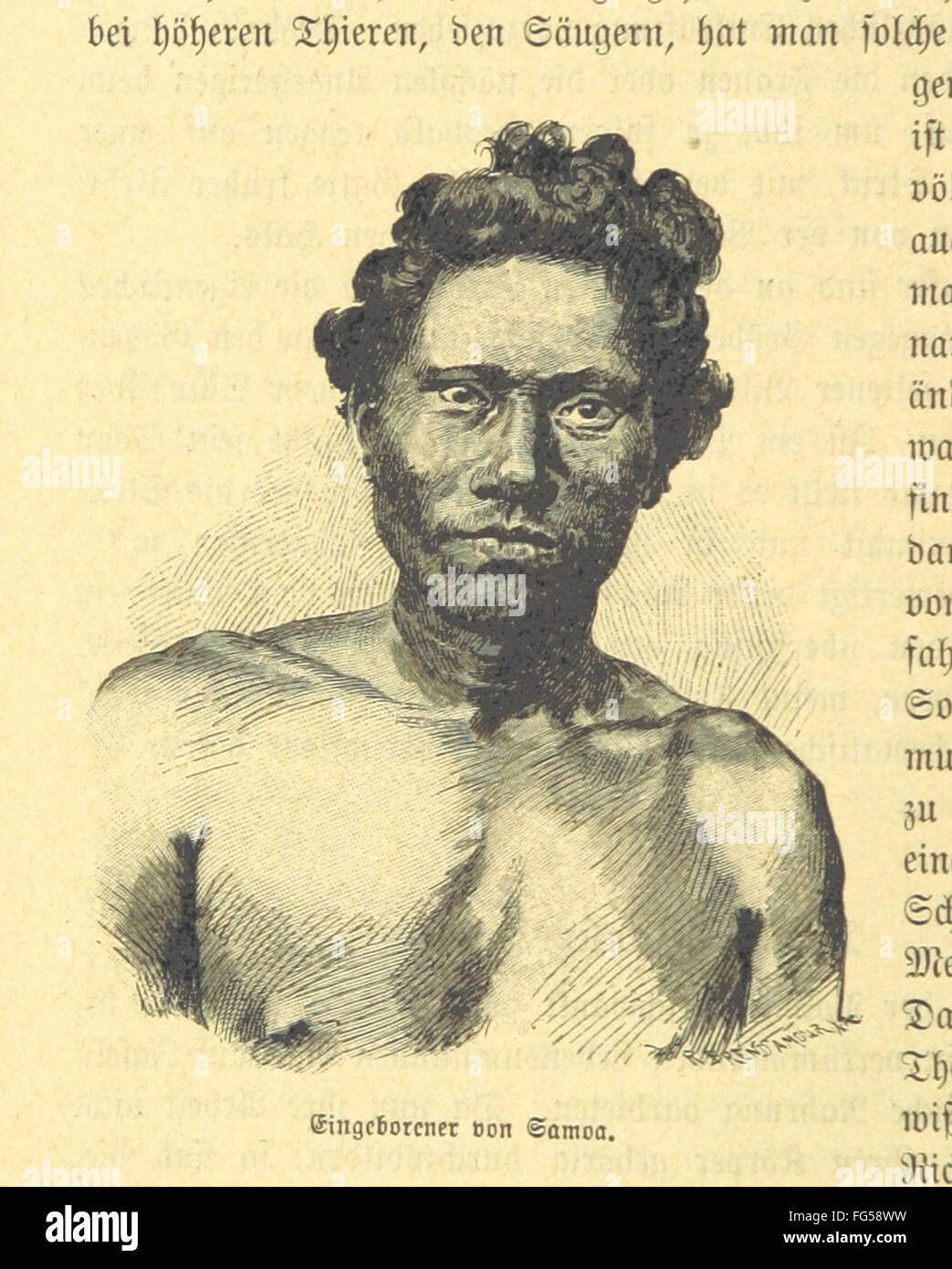 22 of 'Der Mensch und seine Rassen. Mit ... Illustrationen' Stock Photo - Alamy