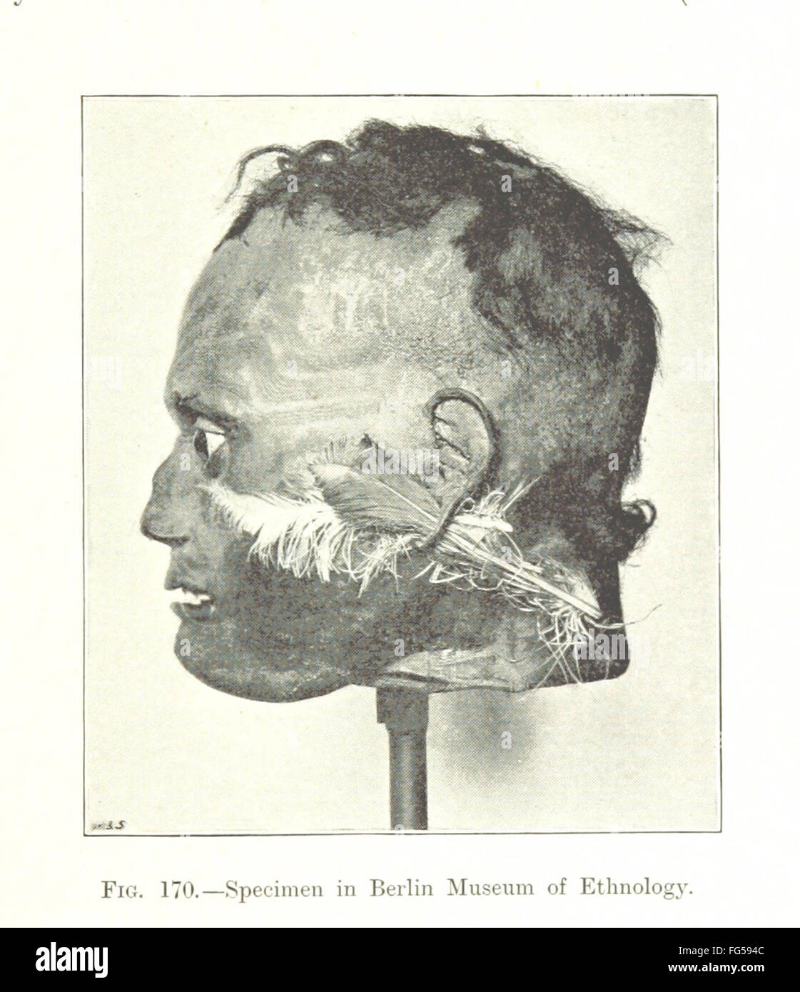 'Moko; or, Maori Tattooing' explores the art and cultural significance ...