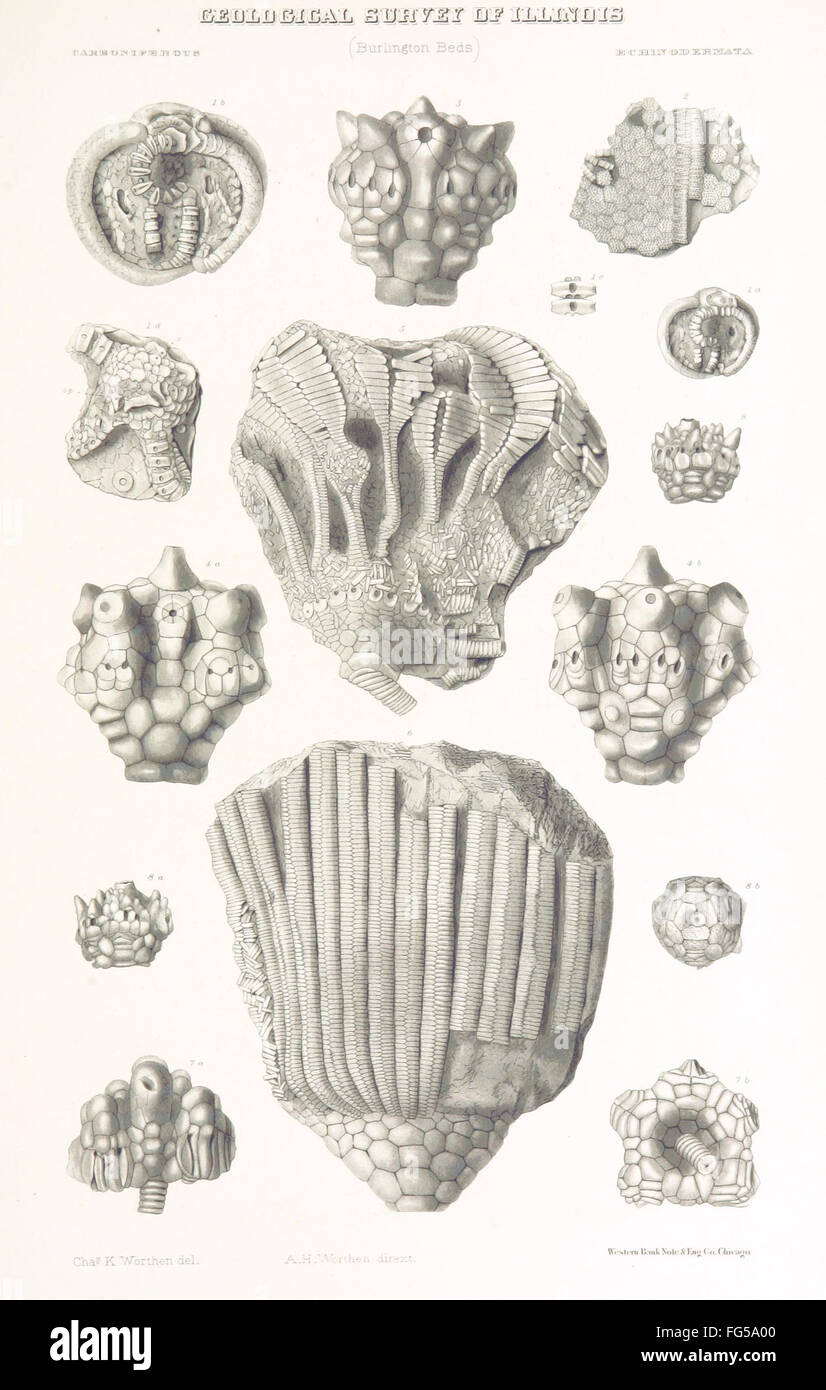 Comprehensive report on scientific hi-res stock photography and images ...