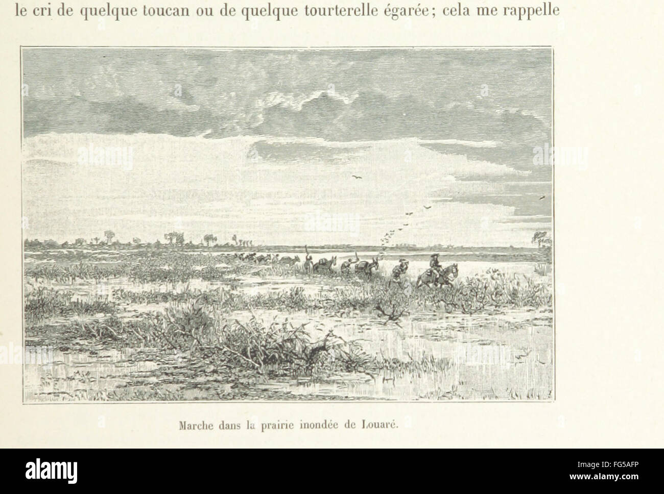 This book, detailing an expedition from the Niger River to the Gulf of ...