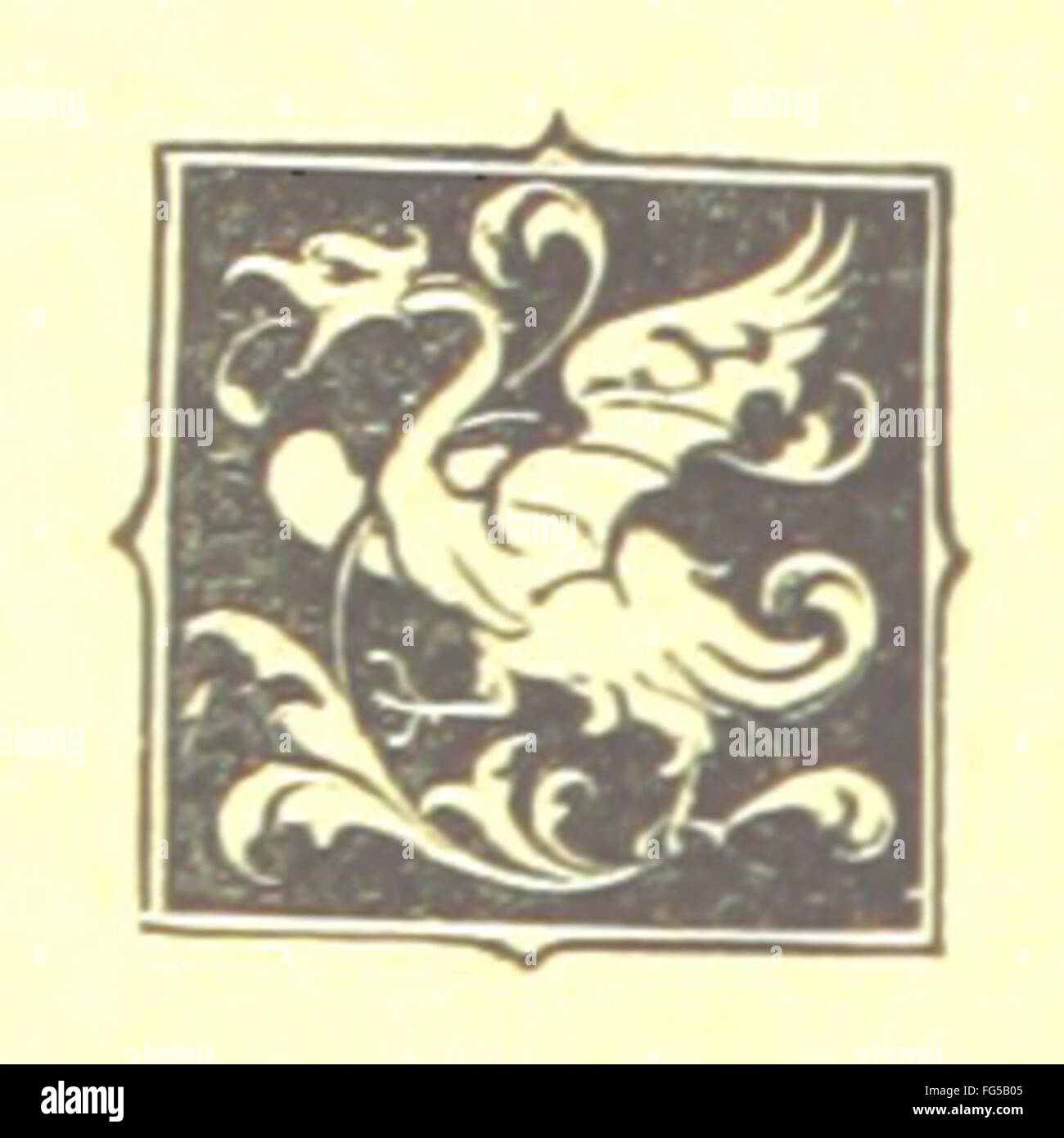 This vintage book explores the history and geography of Codogno, Italy ...