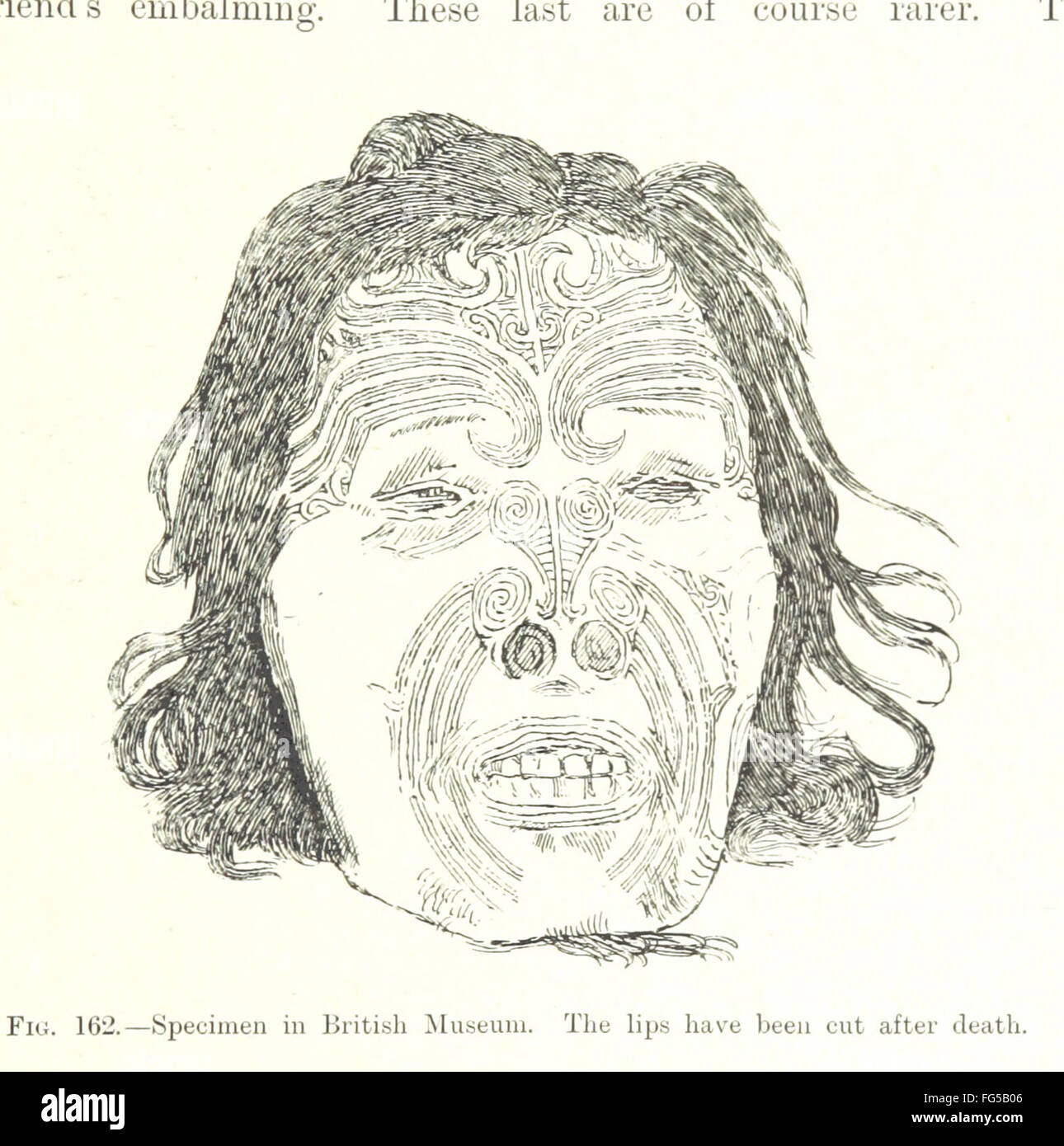 'Moko; or, Maori Tattooing' is a vintage book exploring the traditional ...