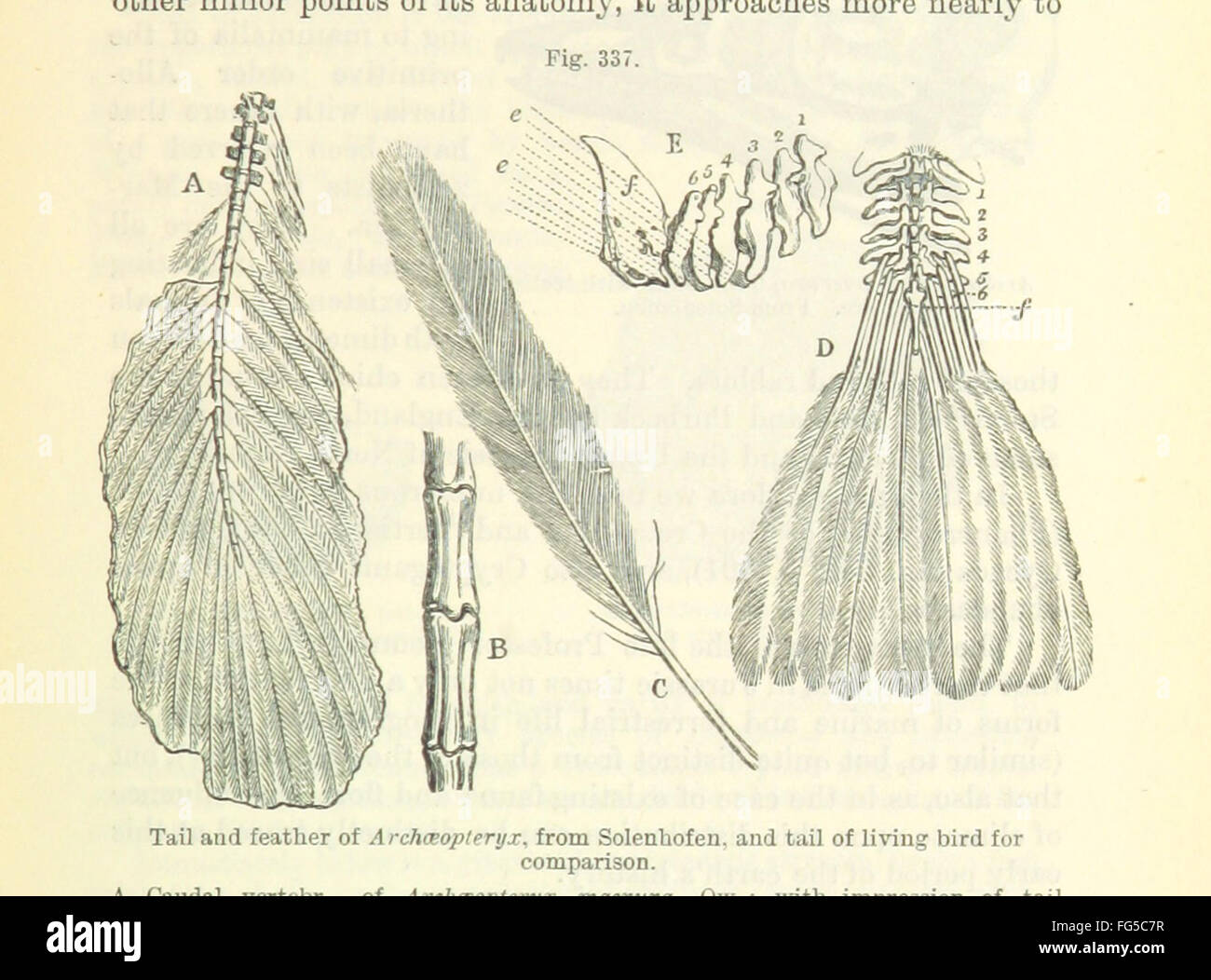 This educational manual provides an introduction to elementary geology ...
