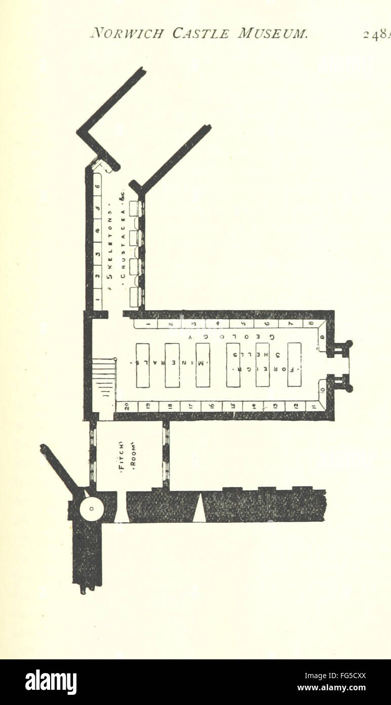 This official guide to the Norwich Castle Museum offers a historical ...